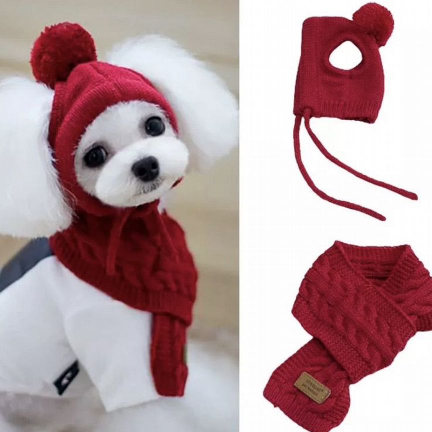 Комплект шапка   шарф для собак и кошек