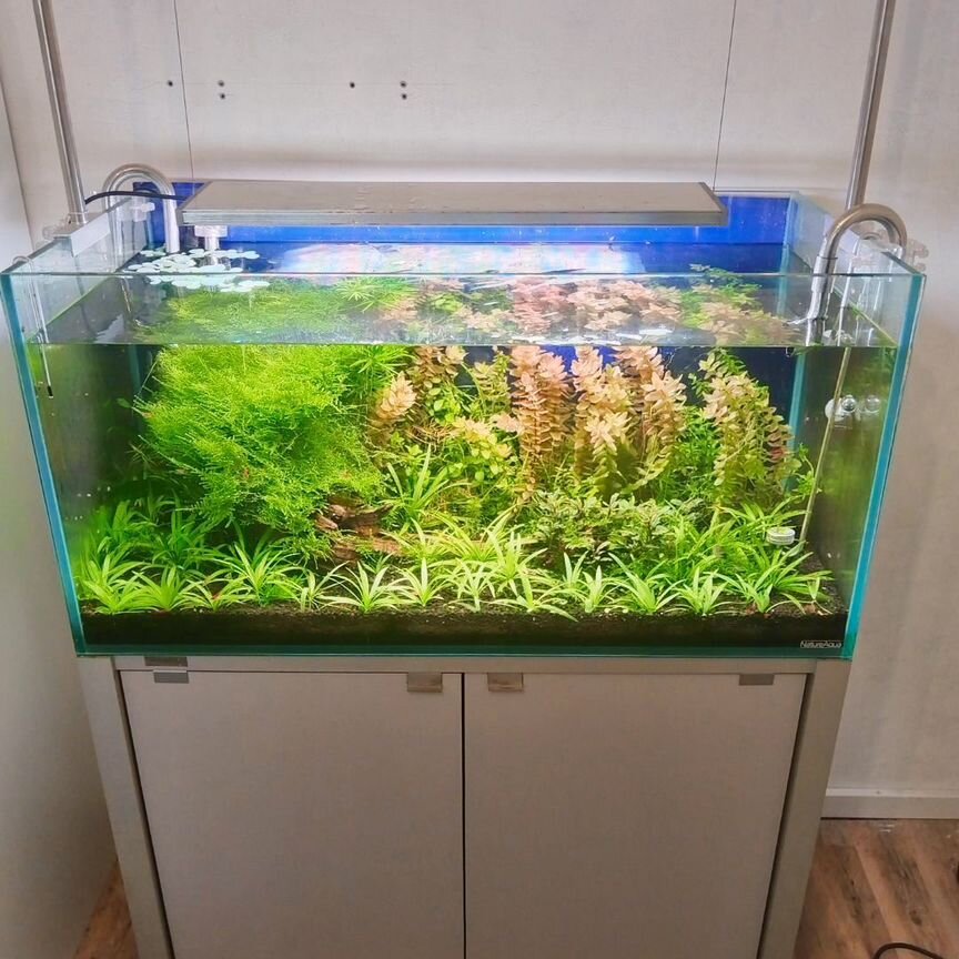 Аквариум NatureAqua