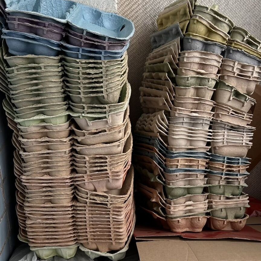 Яичные лотки