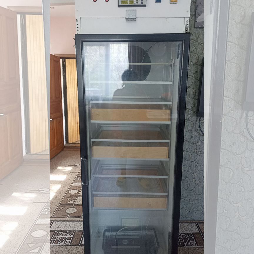 Инкубатор для яиц автоматический бу