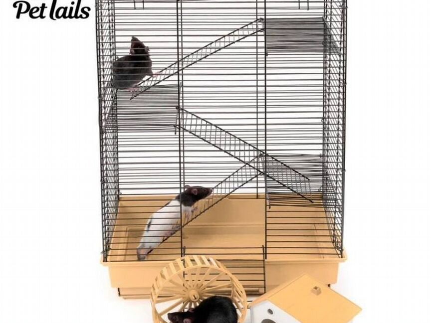 Клетка для грызунов большая