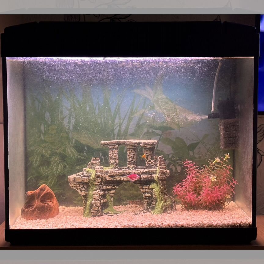 Аквариум 100 литров с рыбками