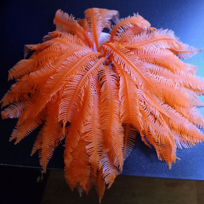 Искусственный силиконовый коралл