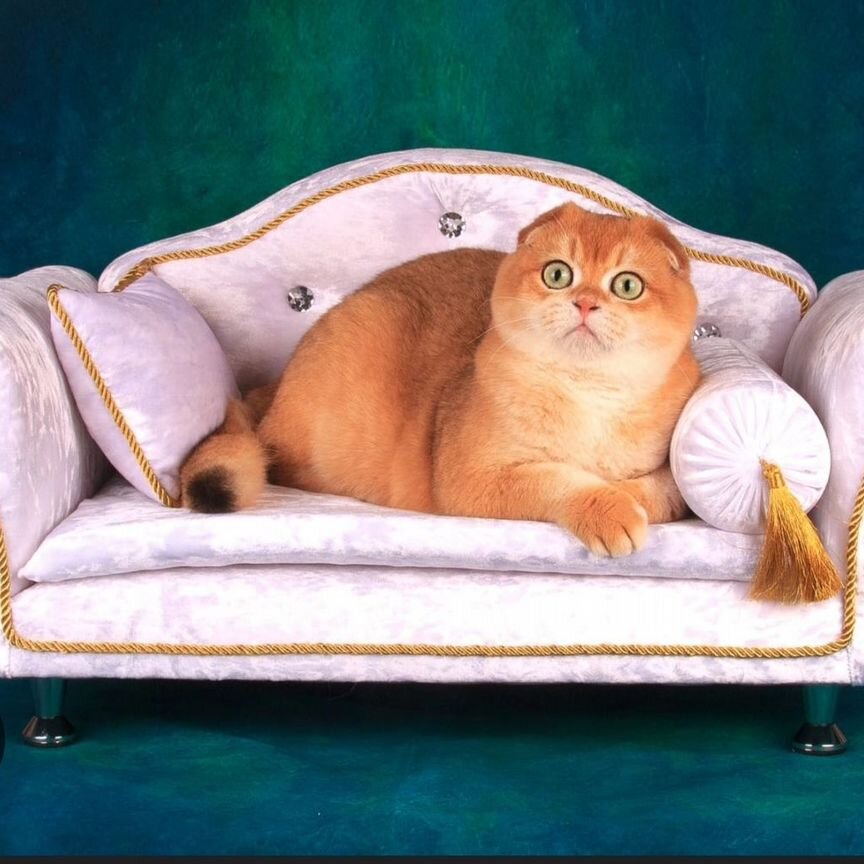 Диванчик для кошек