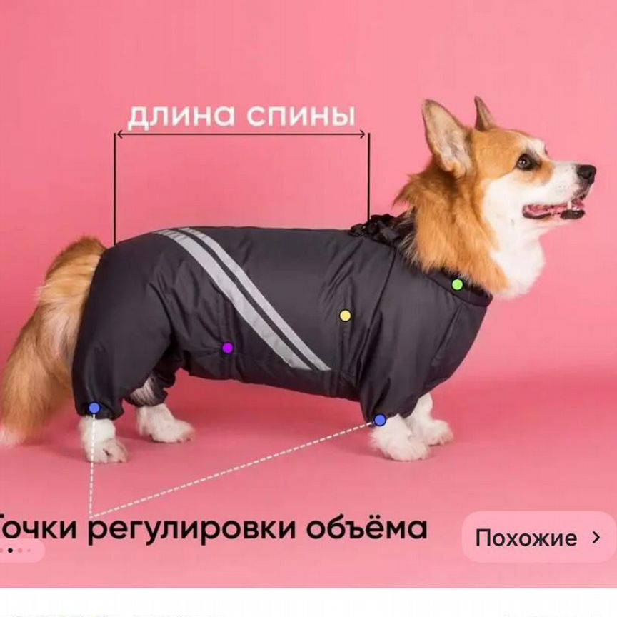 Комбинезон diplodog для корги девочки р.М