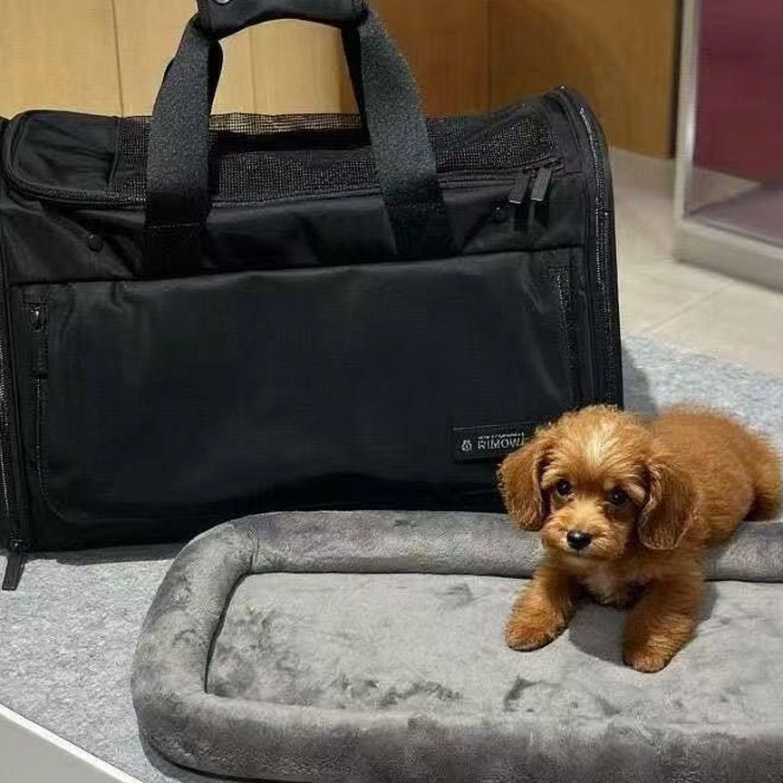 Переноска для собак Rimova