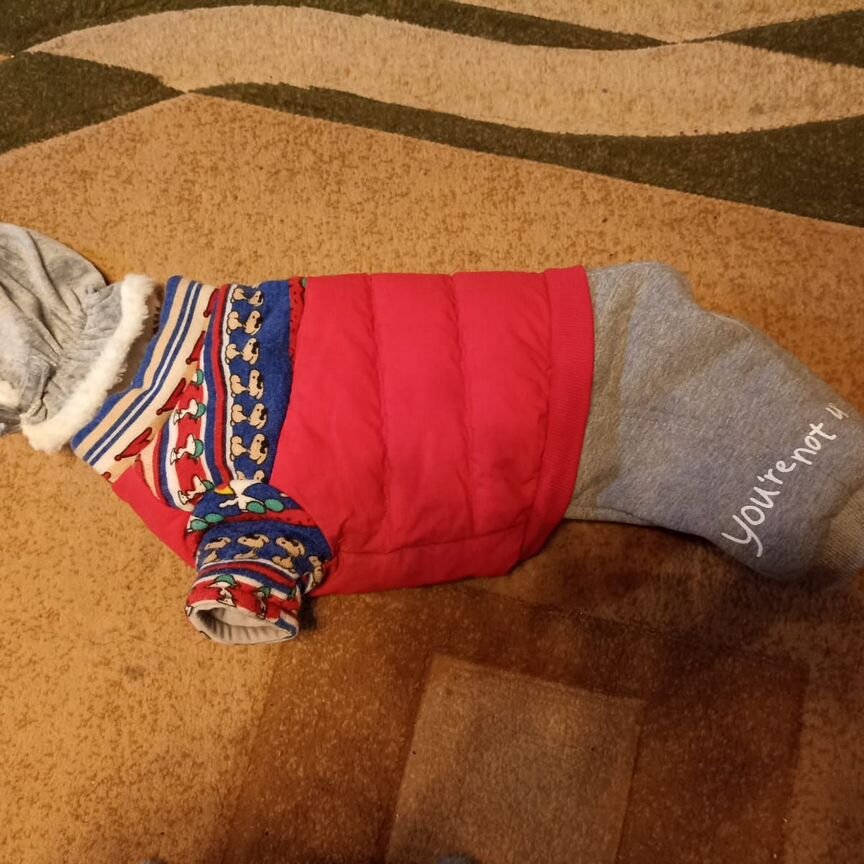 Комбинезон для собаки