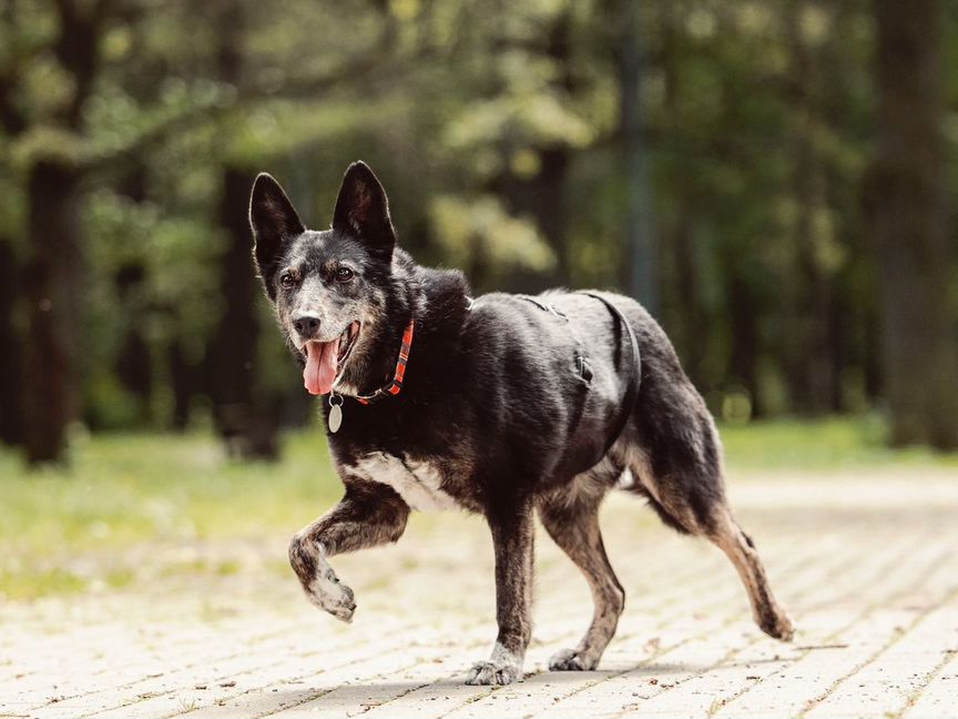 Жученька ждет друга