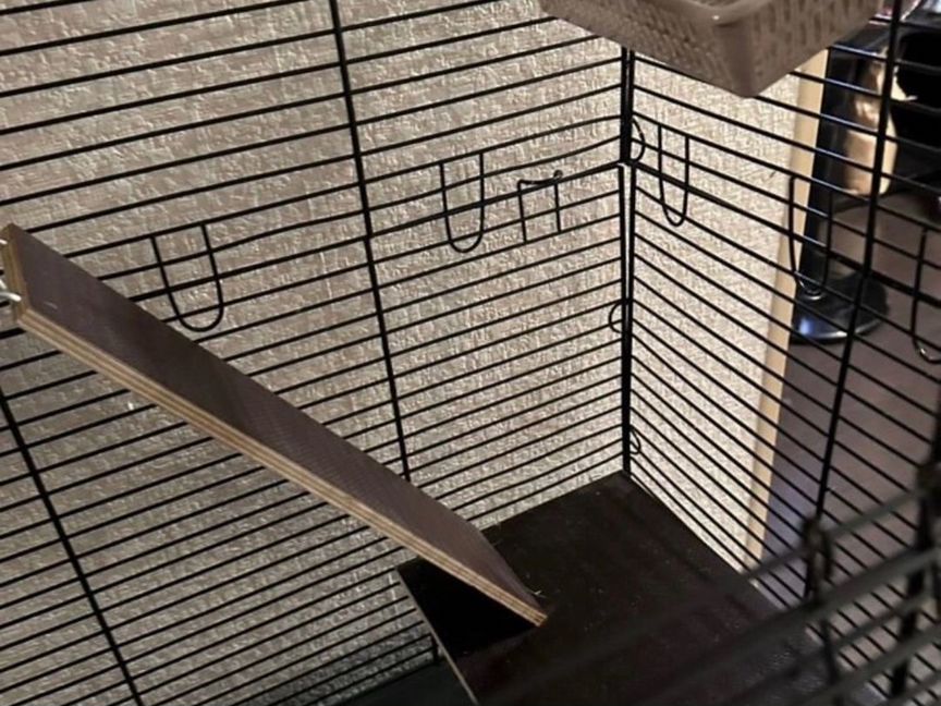 Клетка для грызунов большая