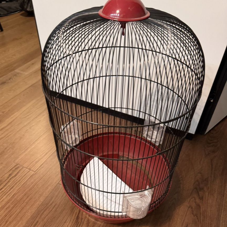 Коктка для попугая