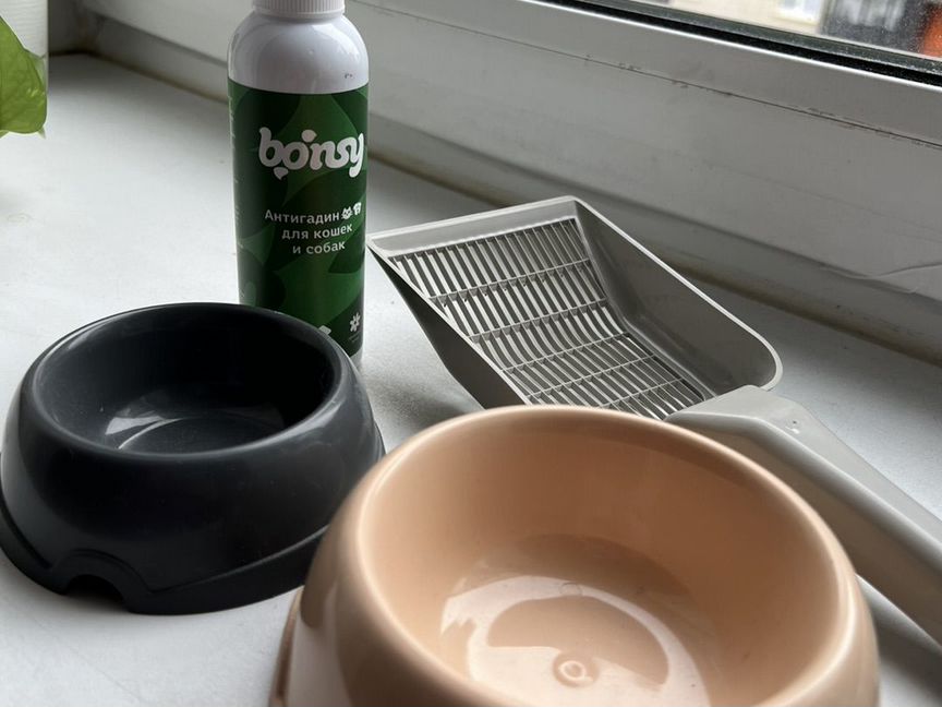 Миски, лопатка для кота, спрей антигадин