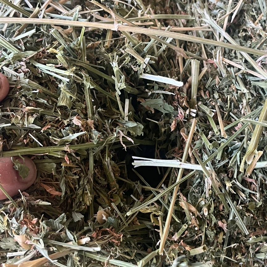 Сено люцерны в тюках