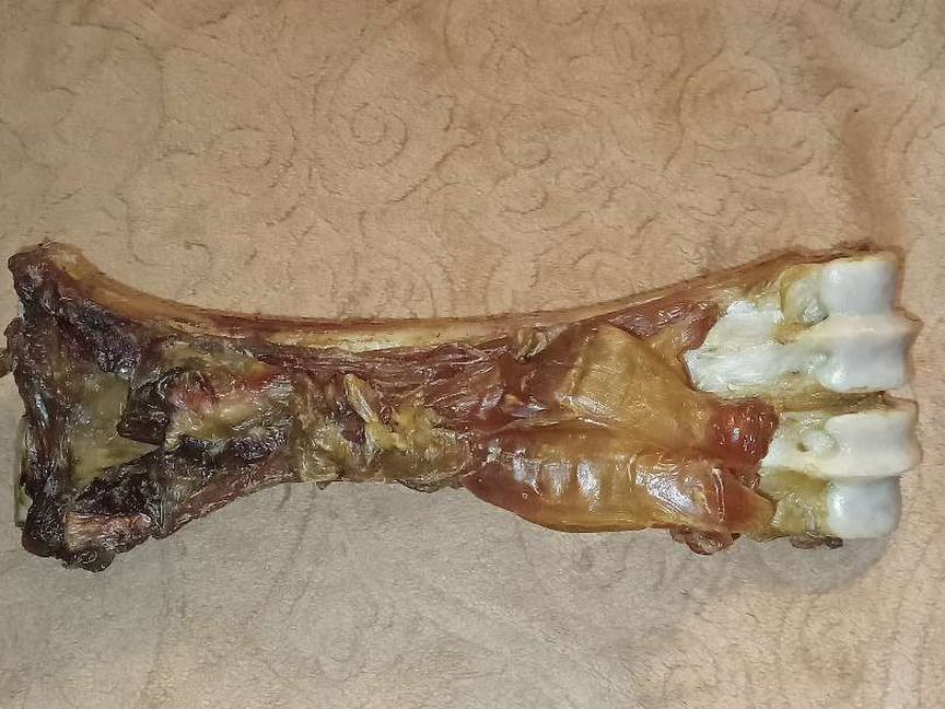 Косточка для собак