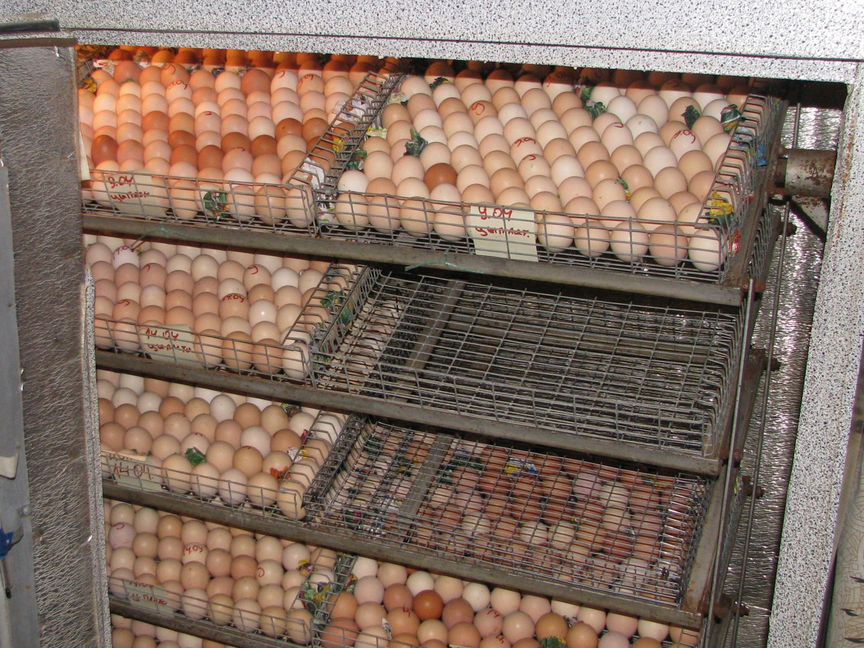 Инкубаторы