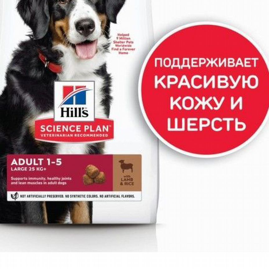 Сухой корм для собак 14