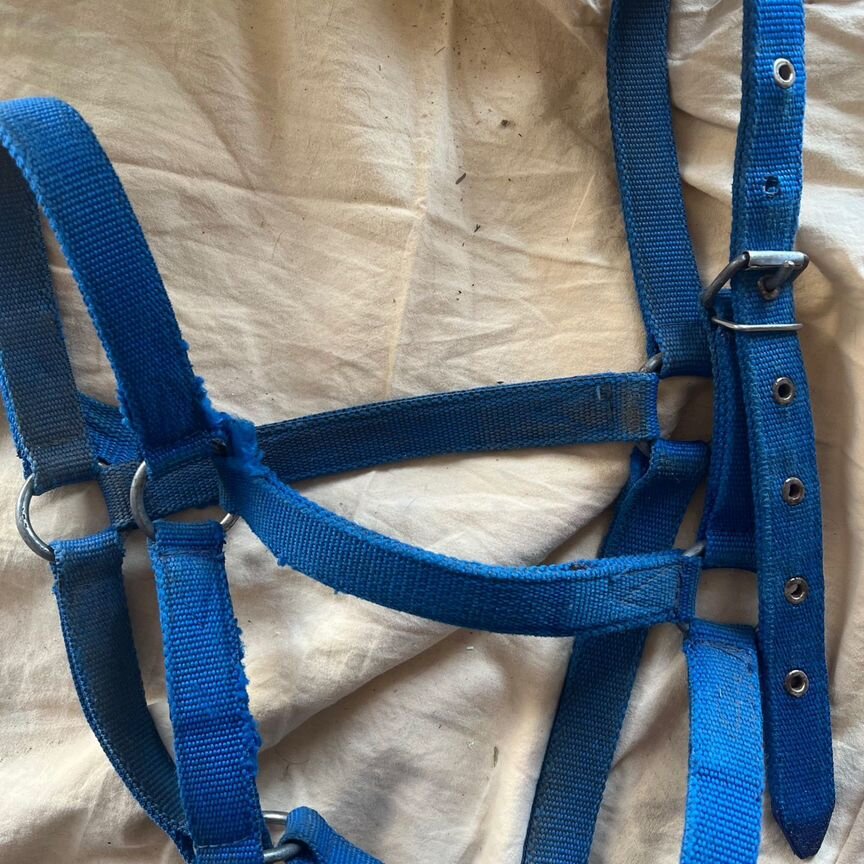 Недоуздок для лошади cob