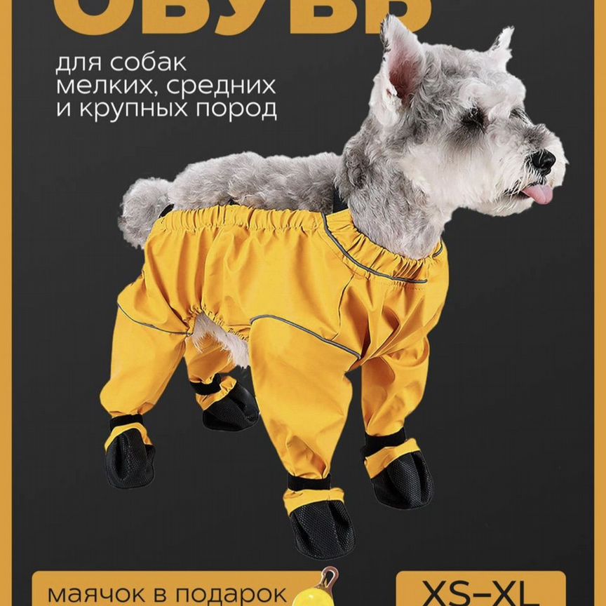 Обувь для собаки