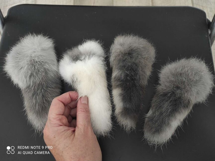 Кроличья лапка, кроличий хвостик