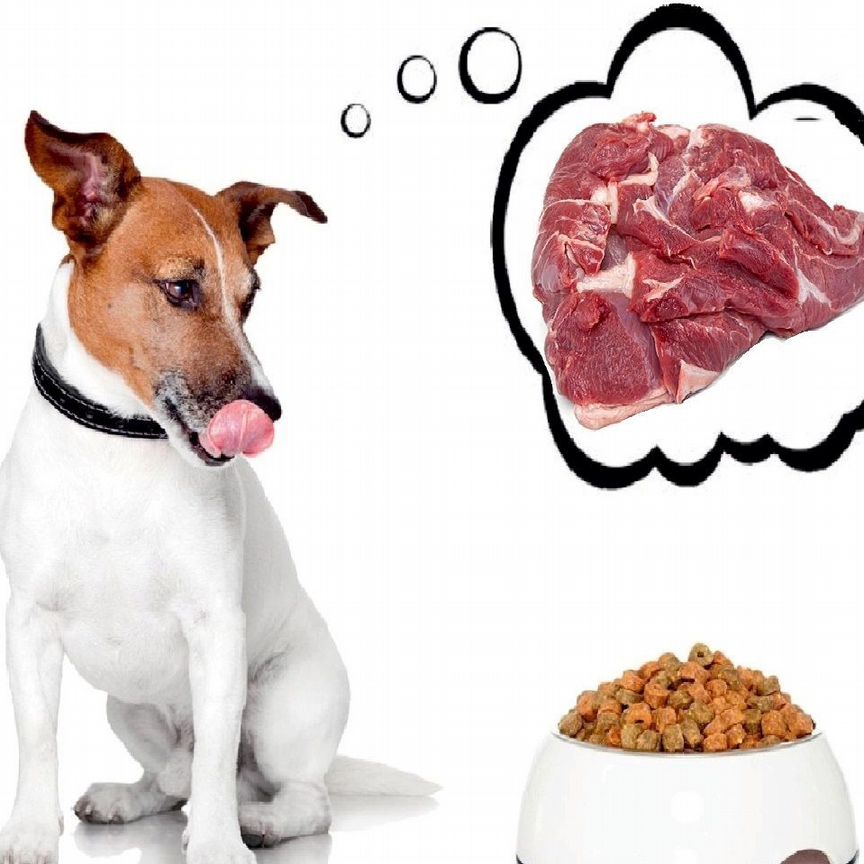 Мясо для собак