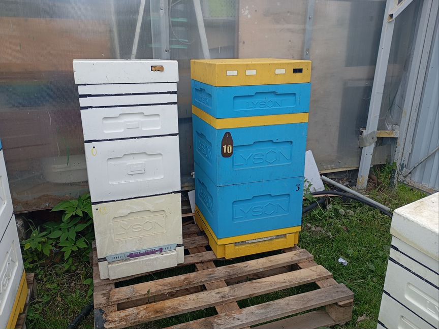 Улей для пчел