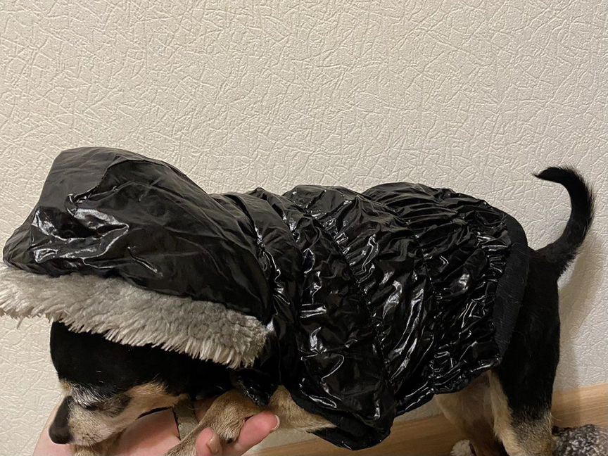 Пуховик для собак