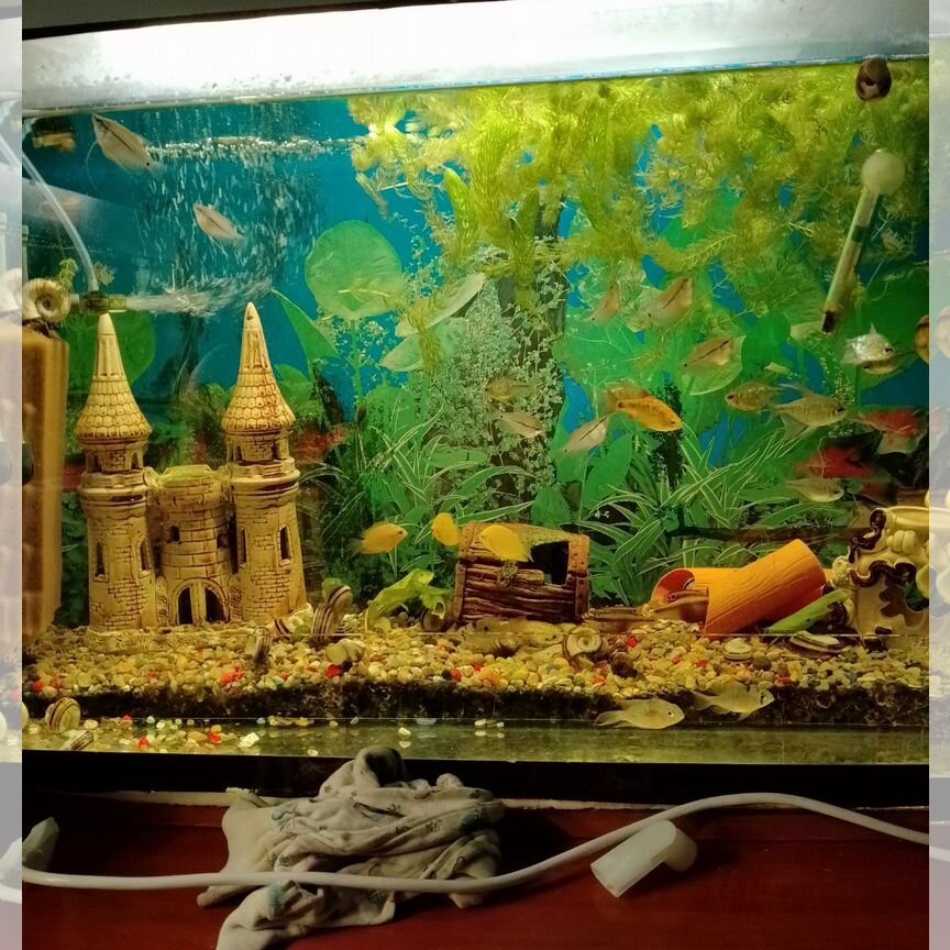Аквариум