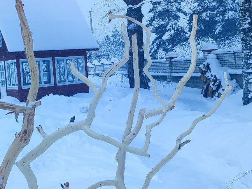 Спальное дерево для питомца