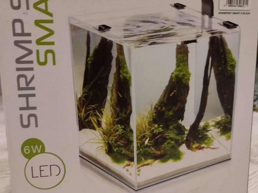 Аквариум с рыбками