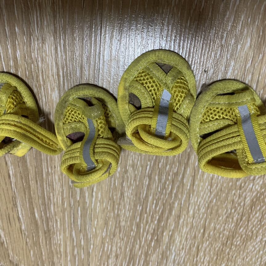 Ботиночки для собаки