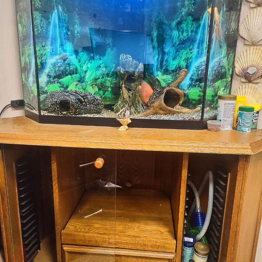 Аквариум угловой 120л с населением и оборудованием