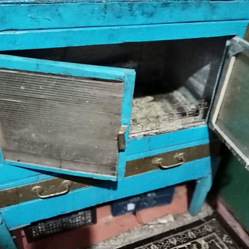 Брудер для цыплят