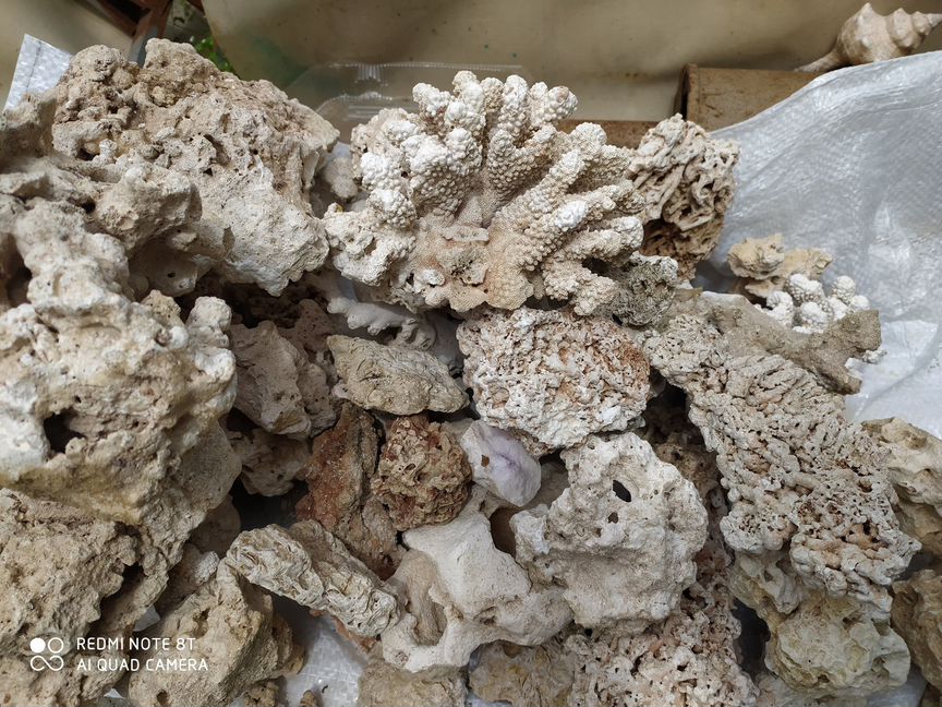 Камни для морского аквариума