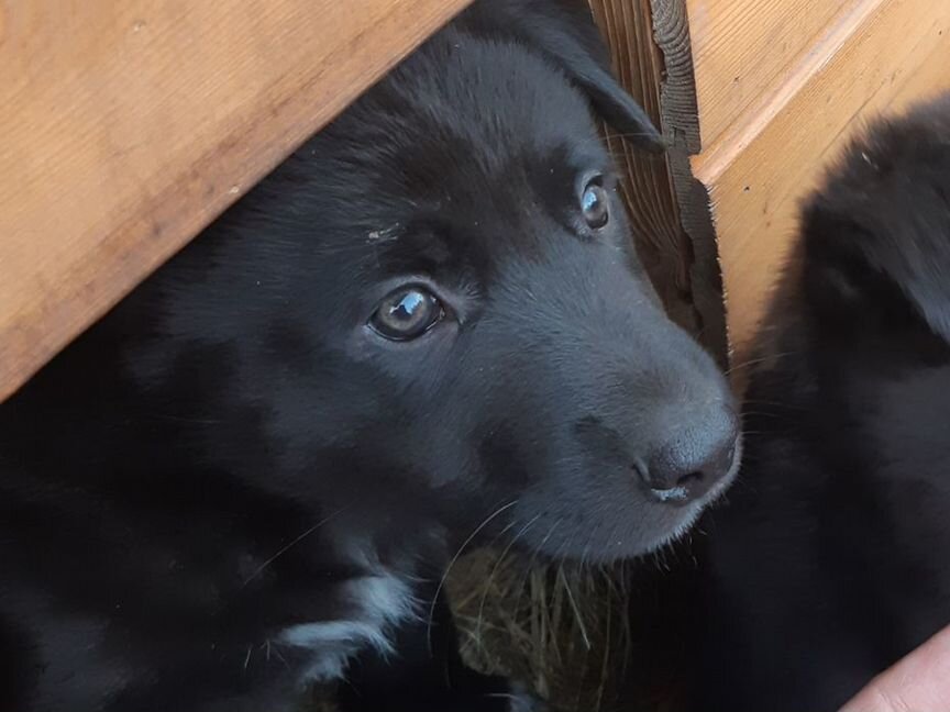 Два парня 2 м, средние