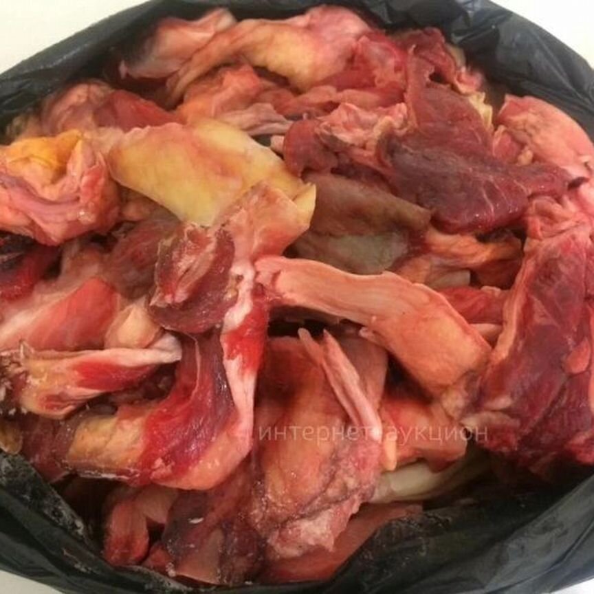 Говяжья обрезь свежая для собак