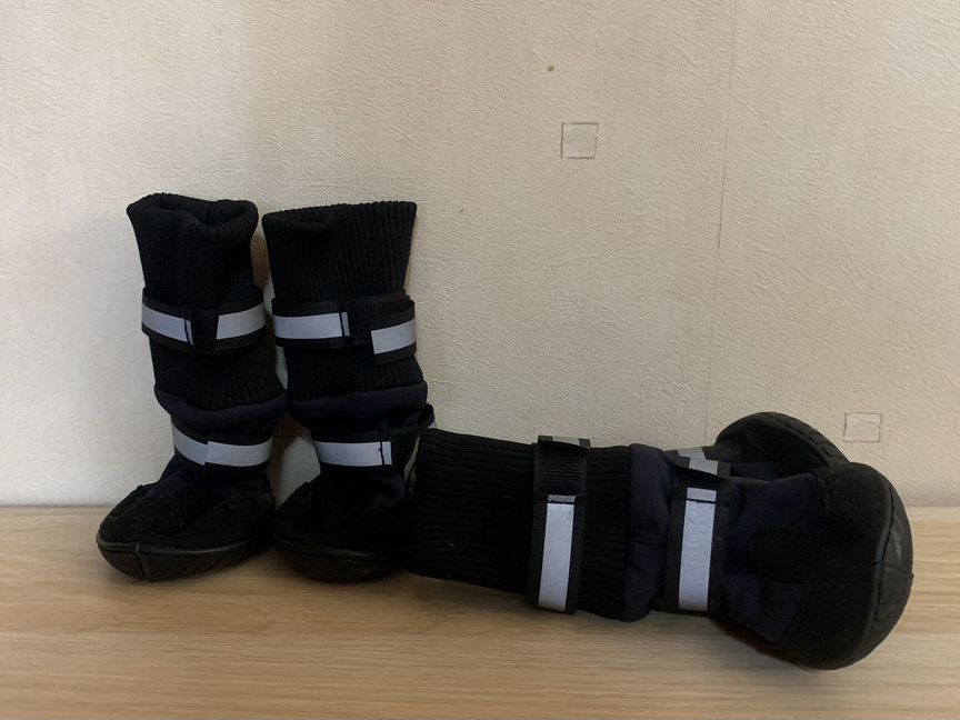 Rungo ботинки на липучках высокие для собак