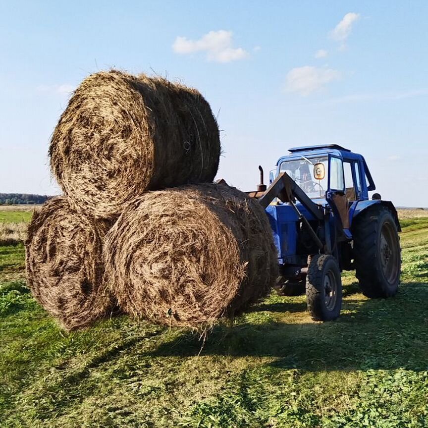 Продам сено в рулонах, солома, ячмень