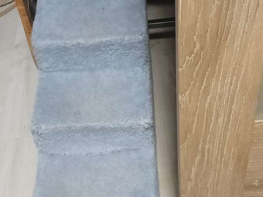 Аксессуары для собак