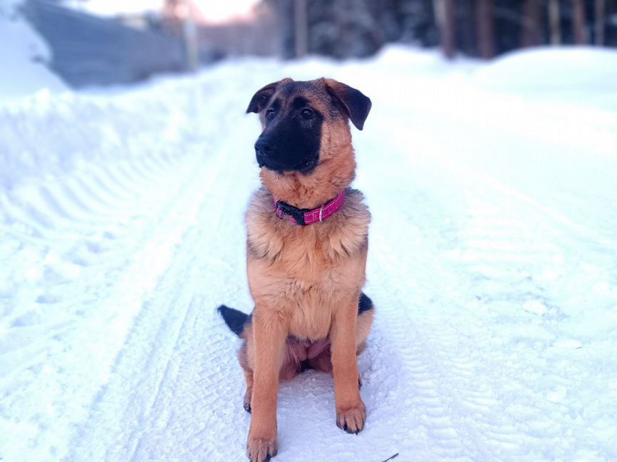 Её и сестёр нашли в пакете в мусорном баке
