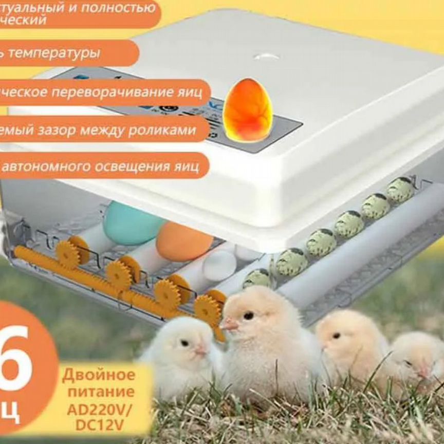 Инкубатор для яиц автоматический бу
