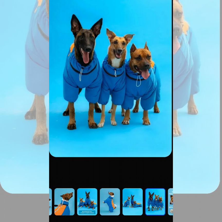 Зимний комбинезон для девочки крупной породы