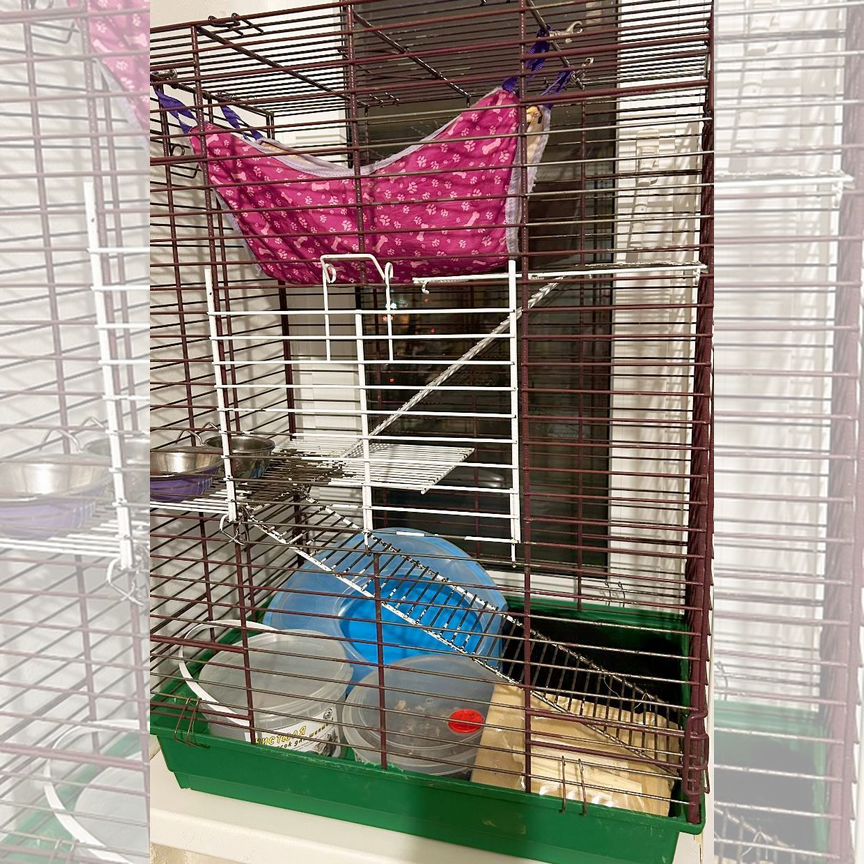 Большая клетка для грызунов