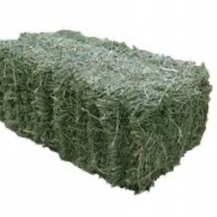 Сено люцерны в тюках