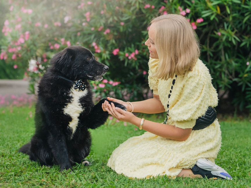 Мухтар ищет дом