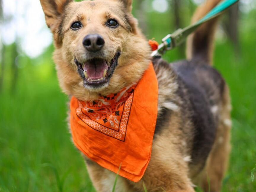 Тоскует и ищет маму