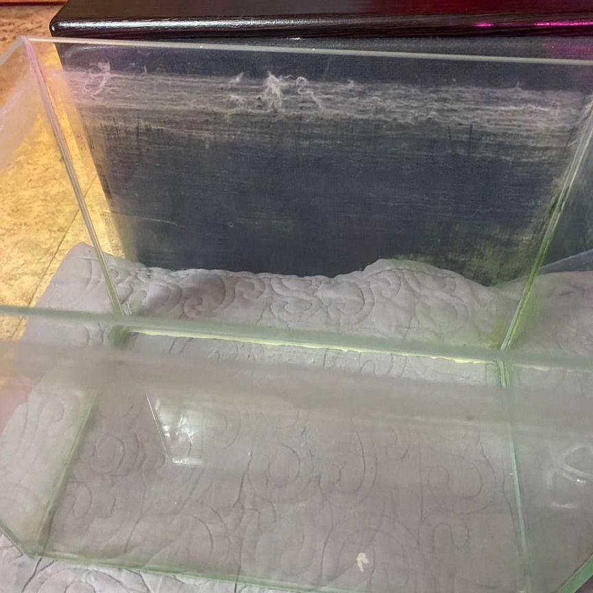 Аквариум 10л