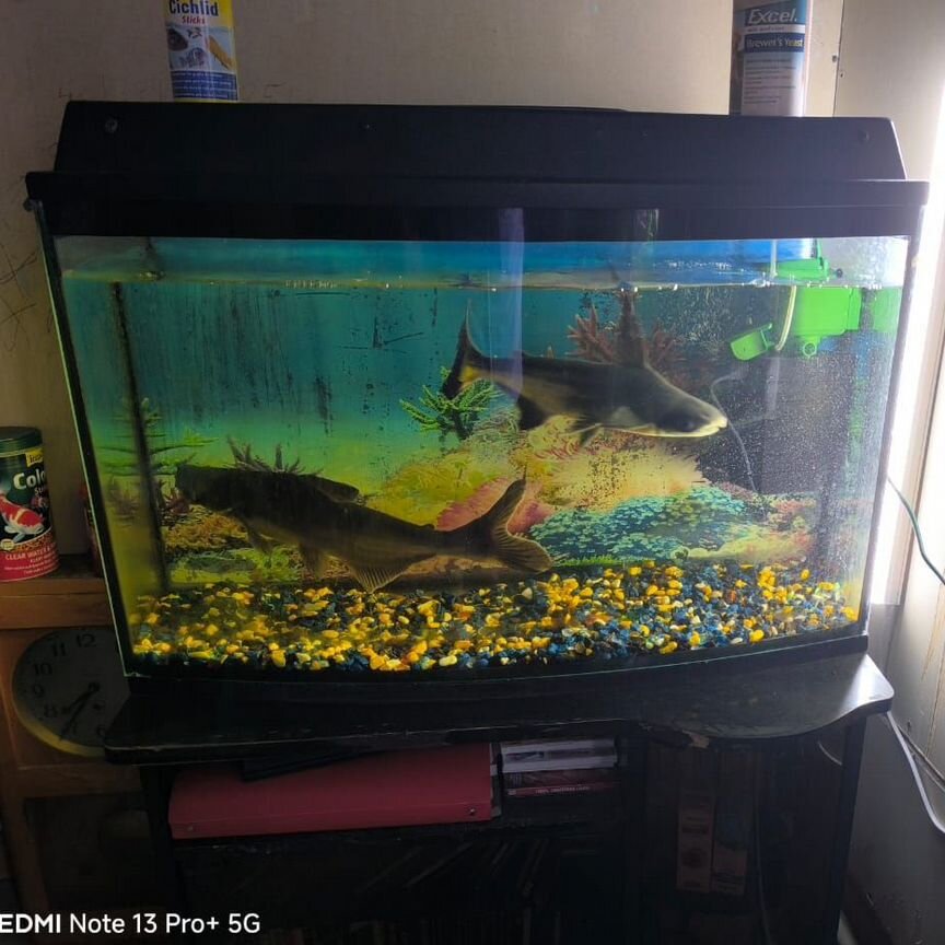 Аквариум 80литров