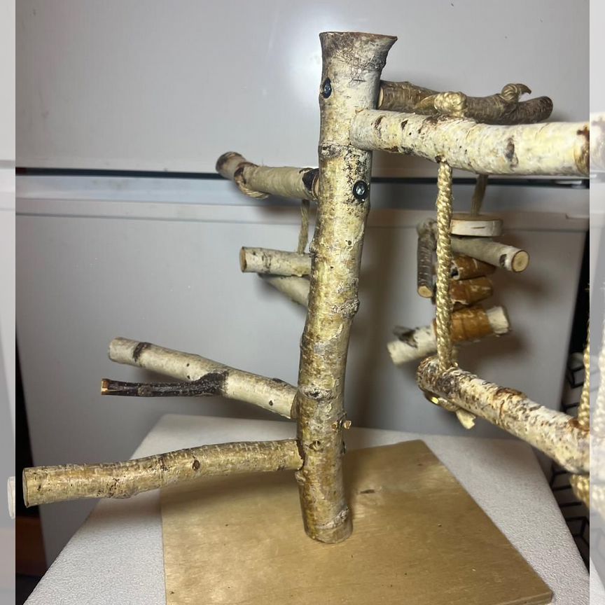 Присада для попугая