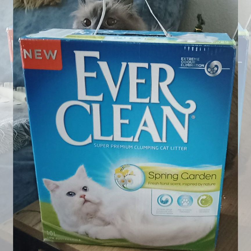 Наполнитель комкующийся Ever clean