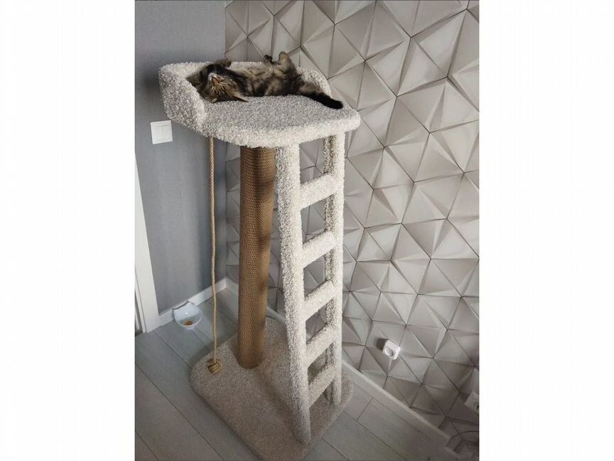 Когтеточка