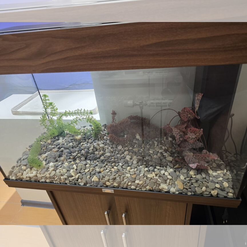 Аквариум Juwel 125 новый